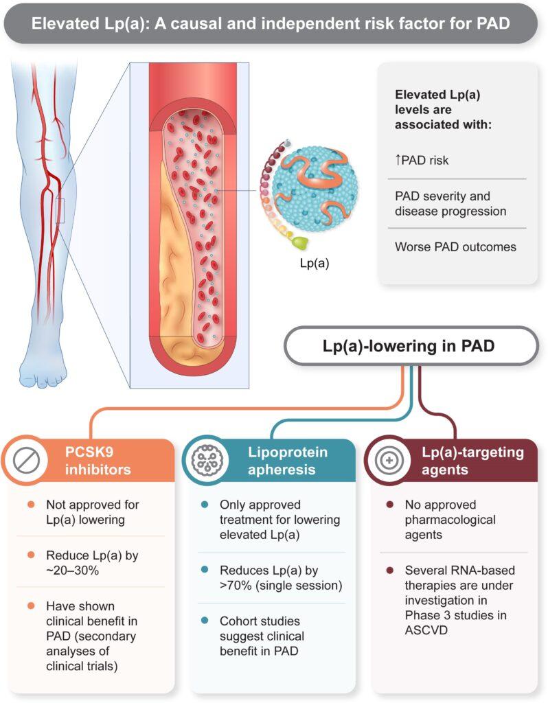 New PAD Publication Spotlight - Liposorber